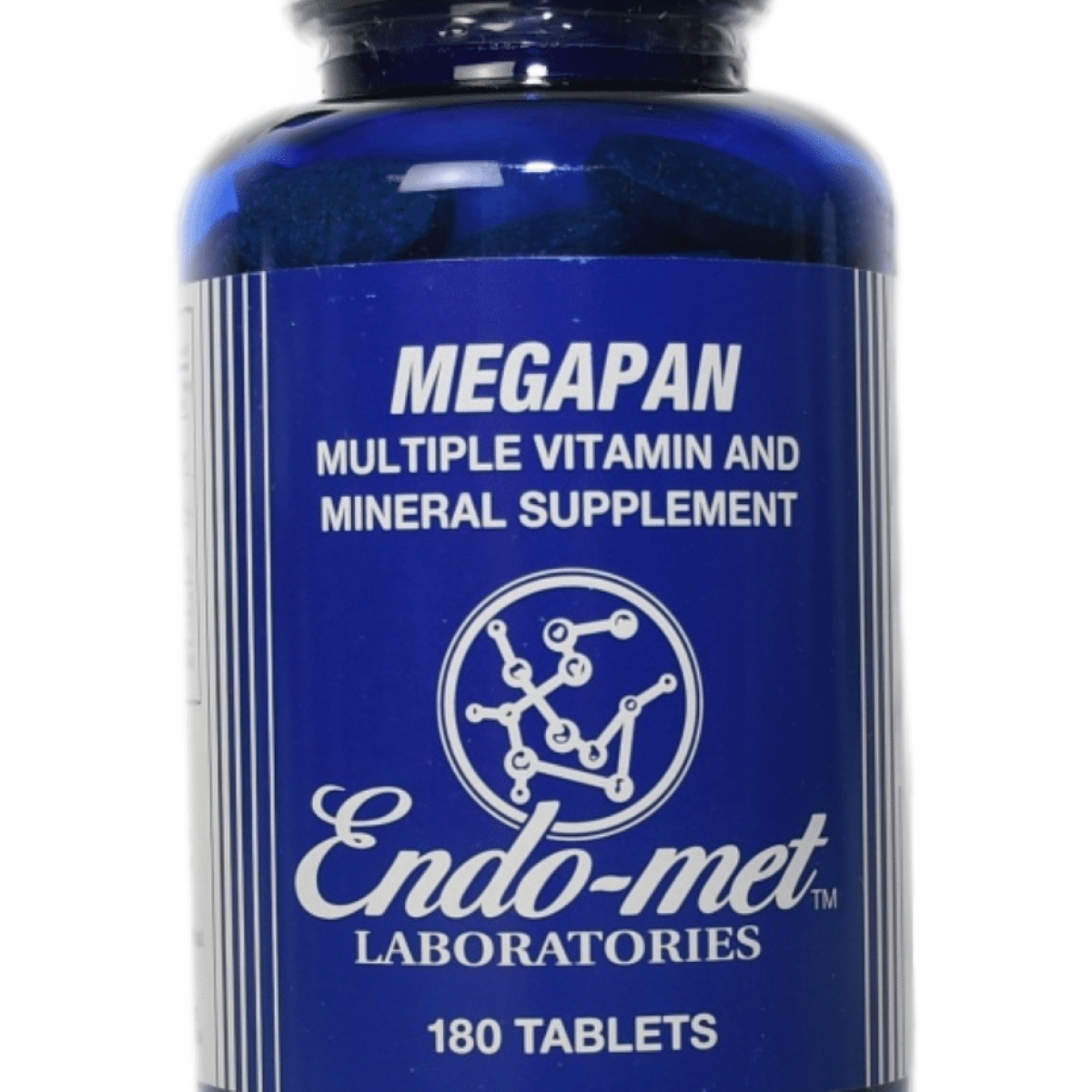 Megapan 90 | The Elevate Institute