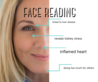 4 Organ Free Face Reading Online | The Elevate Institute