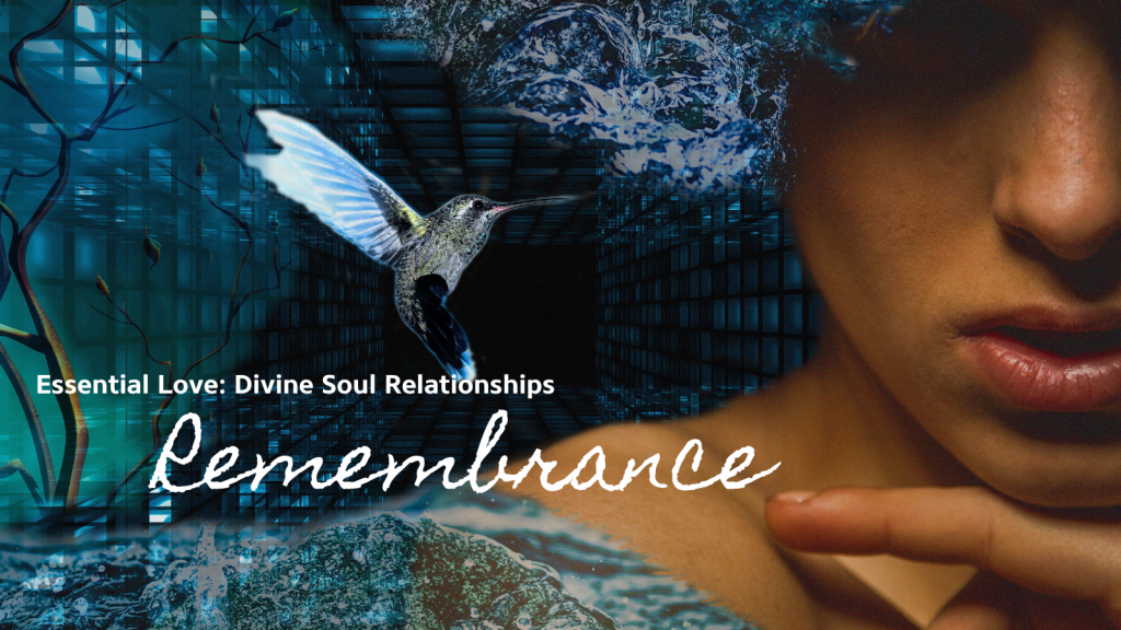 Essential Love Programs | The Elevate Institute