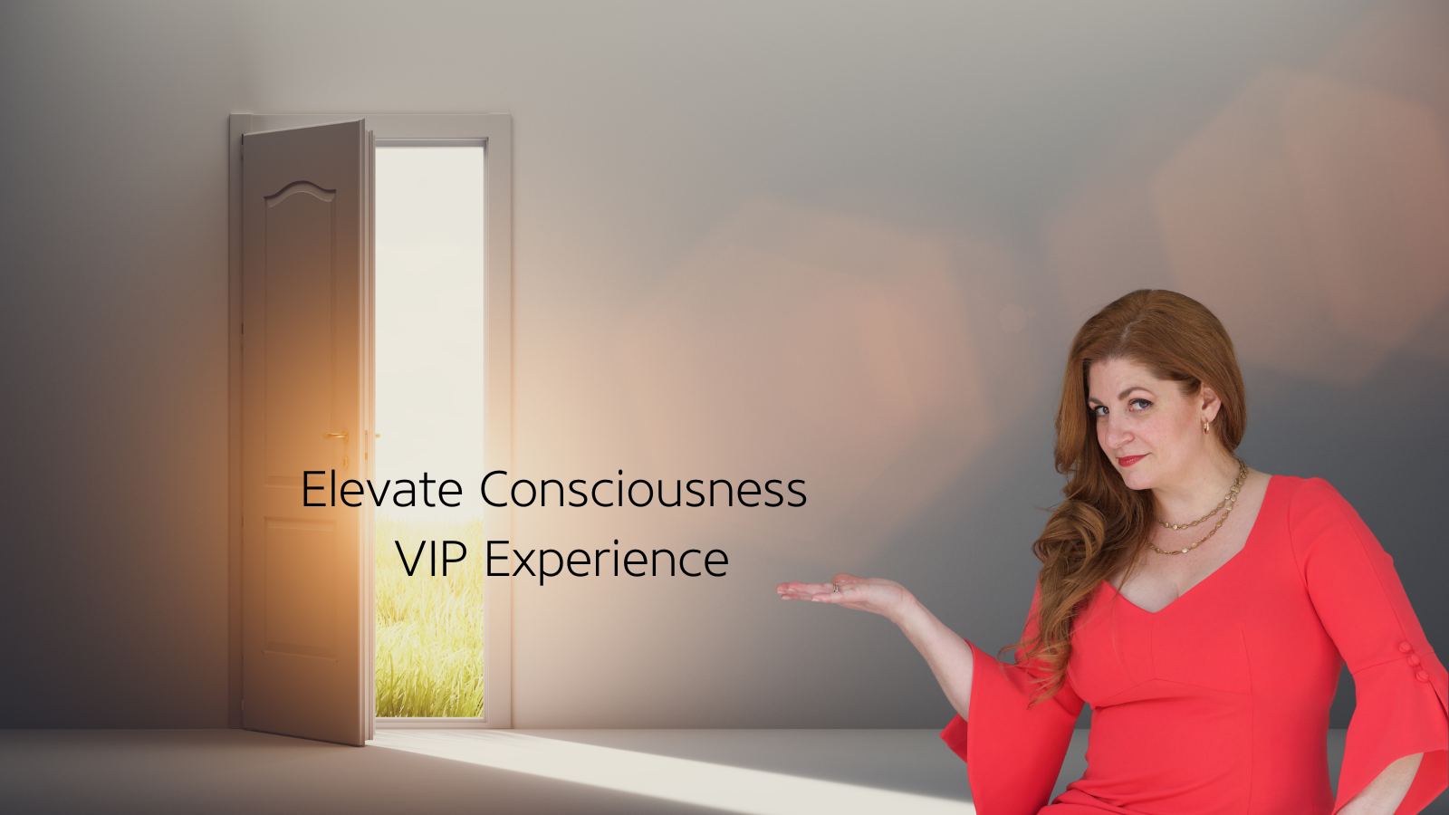 VIP Experience | The Elevate Institute